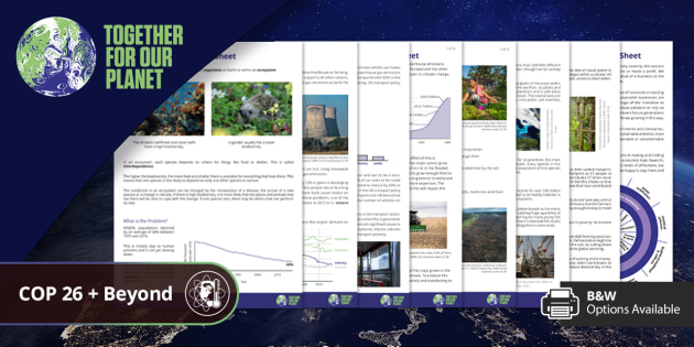 COP26 Climate Change Reading Comprehension Bundle | Beyond