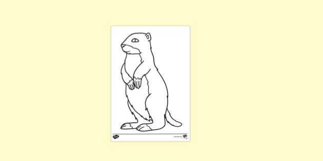 FREE! - Prairie Dog Colouring Sheet | Colouring Sheets | Twinkl