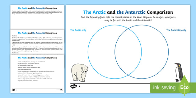 Arctic and Antarctic Comparison Activity (teacher made)