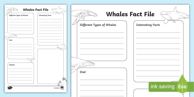 * NEW * Whale Fact File Template (creat de profesori)