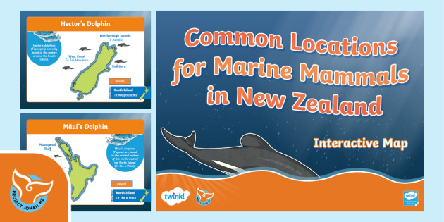 FREE! - Common Locations for Marine Mammals in NZ Interactive Map