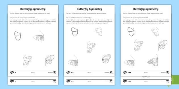 CfE First Level Match the Symmetrical Butterfly Differentiated Worksheet