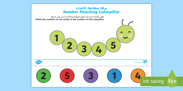 Number Matching Caterpillar Activity - Arabic/English - Number Matching