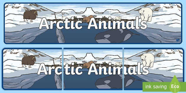 Arctic Animals Display Banner (teacher made)