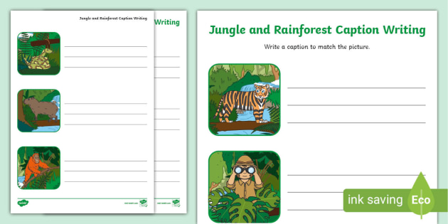 Jungle and Rainforest Caption Writing Activity