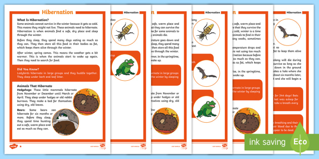 Hibernation Reading Comprehension Activity (teacher made)