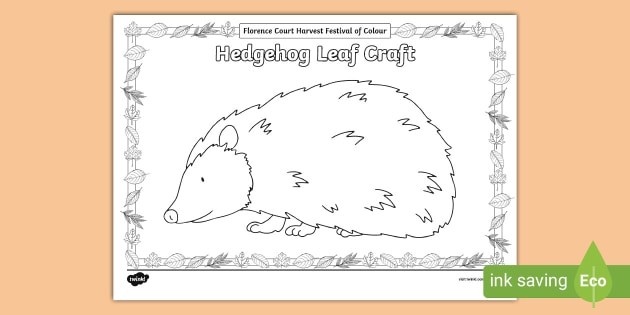 Hedgehog Crafts | twinkl.com.au