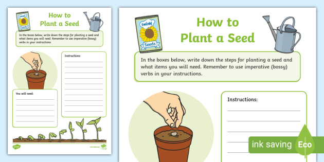 * NEW * Planting a Seed Instructions Template, Planting Seeds