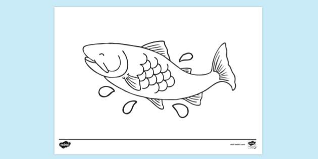 FREE! - Carp Fish Colouring | Colouring Sheets