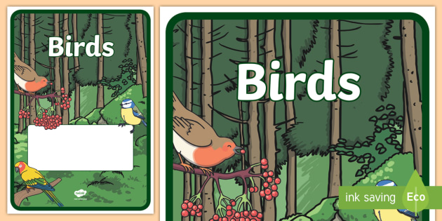 Birds Themed Book Cover - Pirates Themed Book Cover