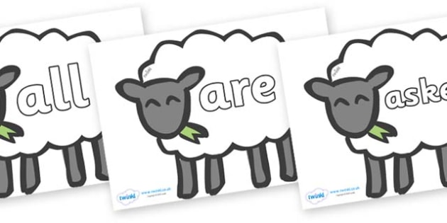 Tricky Words on Sheep (teacher made)