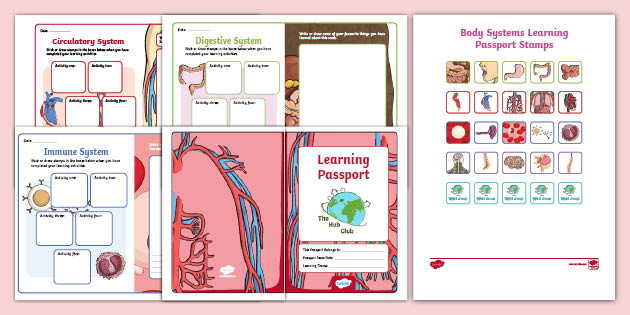 Body Systems Learning Passport (teacher made)