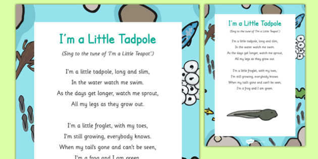 I'm a Little Tadpole Song (Teacher-Made)