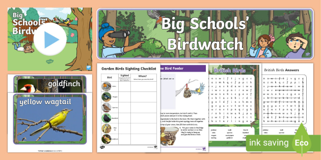 Big Schools' Birdwatch Resource Pack (teacher made)
