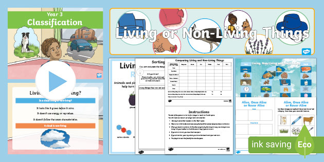 Free Classification Keys Powerpoint Differentiated Lesson Teaching Pack