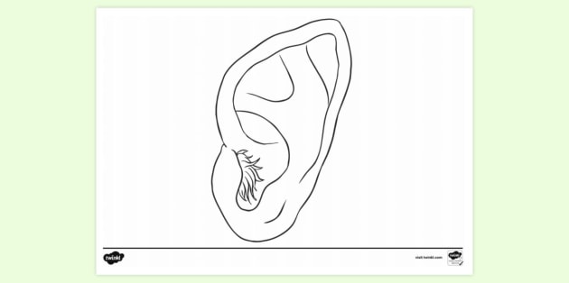 FREE! - BFG Ear Colouring Sheet | Colouring Sheets