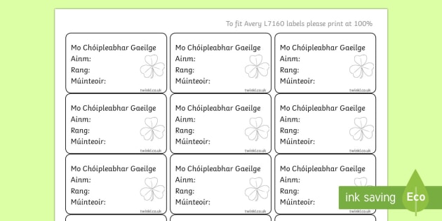 Irish Gaeilge Pupil Gaeilge Copybook Labels (teacher made)