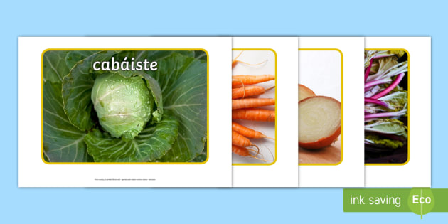Vegetables Display Photos Gaeilge (teacher made)