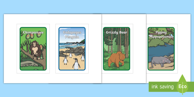 Endangered Animals IKEA Tolsby/Fiestad Frame