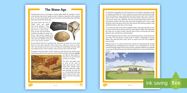The Stone Age Fact File - Stone Age Facts (teacher made)