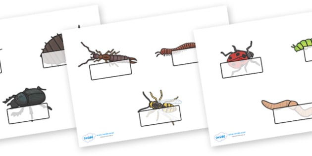Editable Self-Registration Labels (Minibeasts)
