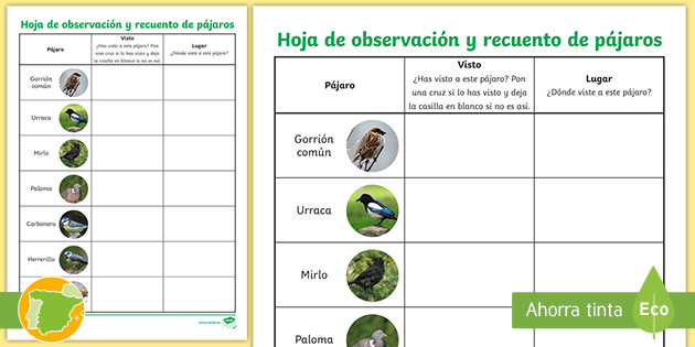 Hoja de observación: Pájaros (teacher made)