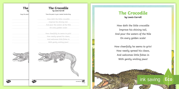 The Crocodile Handwriting Poem Activity Pack (teacher made)