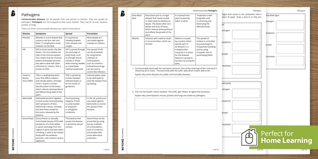 GCSE Infection and Response Worksheets | Beyond