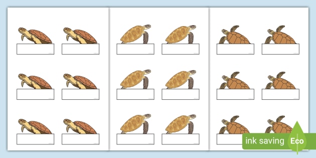 Editable Turtle Self-Registration Labels (teacher made)