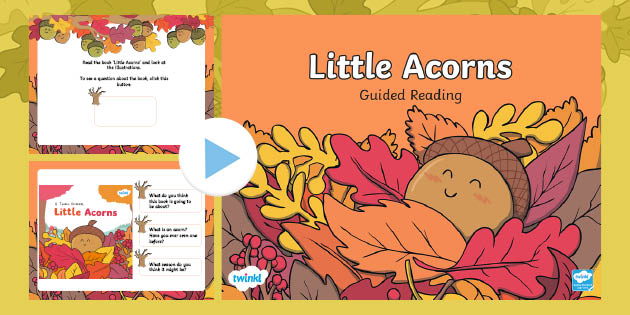 Little Acorns Guided Reading PowerPoint (teacher made)