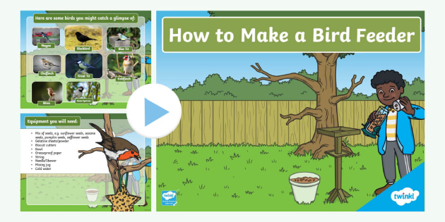How to Make a Bird Feeder PowerPoint (teacher made)