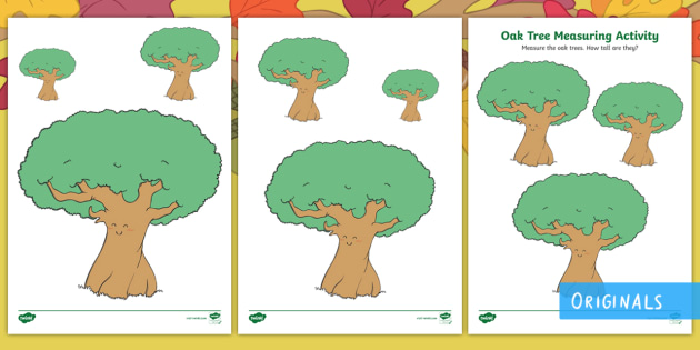 Oak Tree Measuring Activity