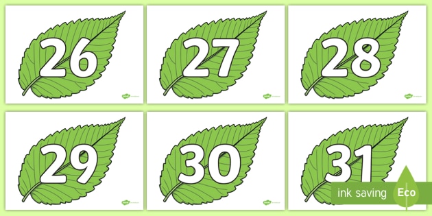 FREE! - Numbers 0-31 on Spring Leaves (teacher made)