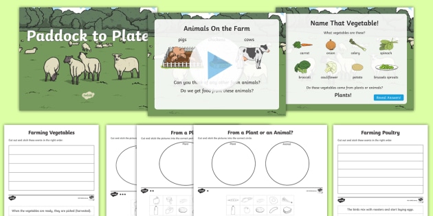Paddock to Plate PowerPoint Pack (teacher made)