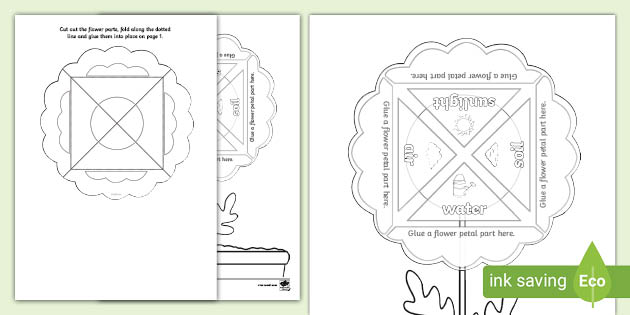 What Plants Need Interactive Visual Aid Template