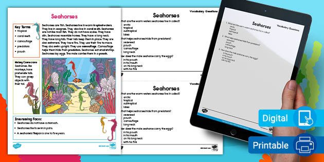 Printable Kindergarten Seahorse Fact Sheet | Twinkl USA