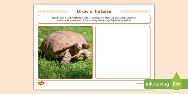 Tortoise Drawing Activity (creat de profesori)