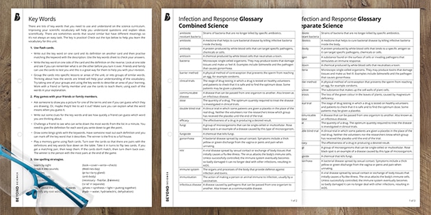 GCSE Biology: Infection and Response Glossary | Beyond