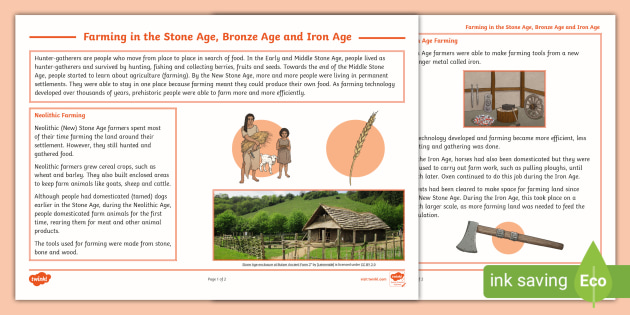 Stone Age Histories | twinkl.com.au