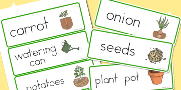 Grow Your Own Vegetables Word Cards (teacher made)