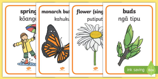 New Zealand Spring A4 Display Poster