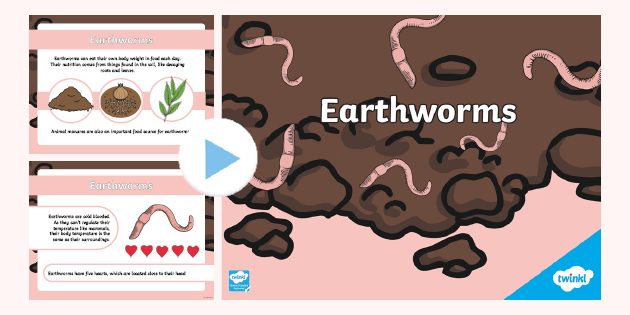 Earthworms (teacher made)