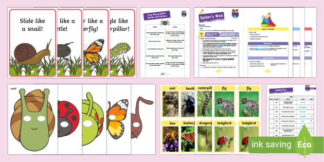 Phonics Level 1 Week 22 - Minibeasts (teacher made)