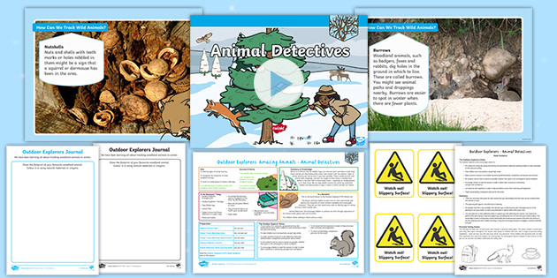 Outdoor Explorers EYFS Winter Lesson 4 Animal Detectives