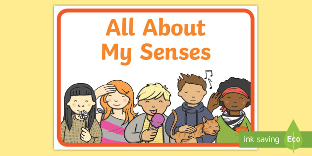 All About Me: My Senses Display Poster (teacher made)
