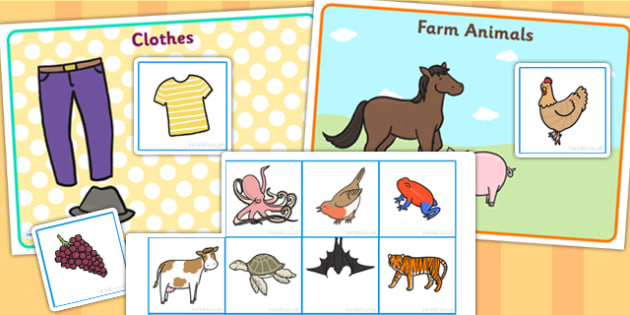 Category Sorting Activity (teacher made)