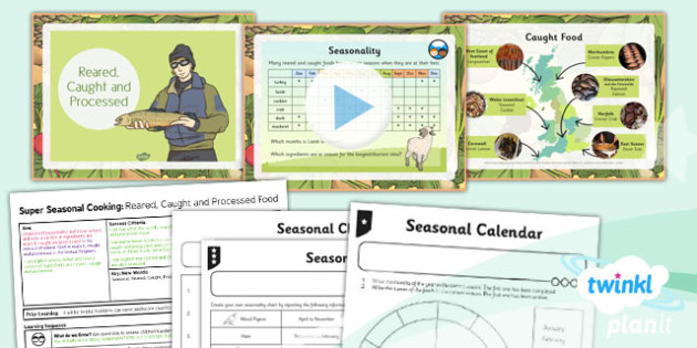 D&T: Super Seasonal Cooking: Reared Caught and Processed Food UKS2 ...