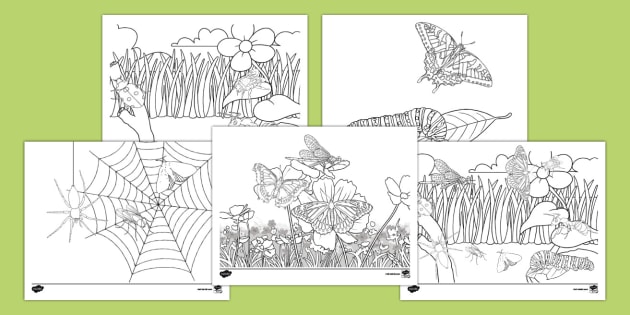 coloring bugs pages