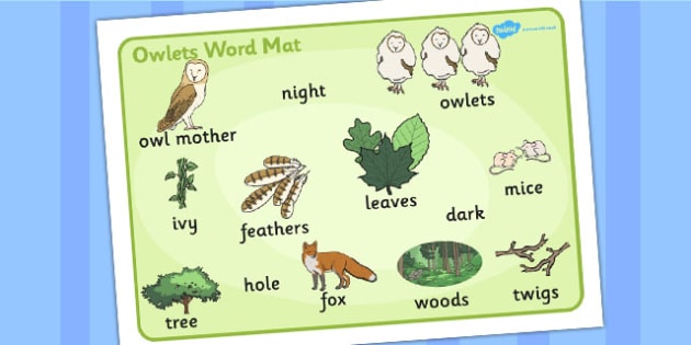 Owlets Word Mat with Images (teacher made)