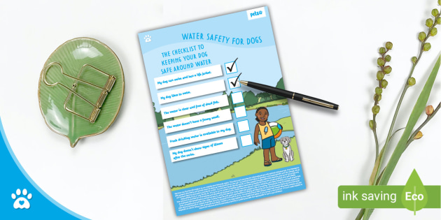 Water Safety for Dogs - Checklist (Teacher-Made)